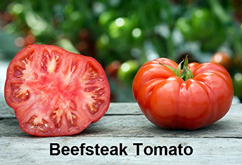 Mixed Seeds! 30 Giant Tomato Seeds, Mix of 19 Varieties, Heirloom Non-GMO, Brandywine Black, Red, Yellow & Pink, Mr. Stripey, Old German, Black Krim, from USA