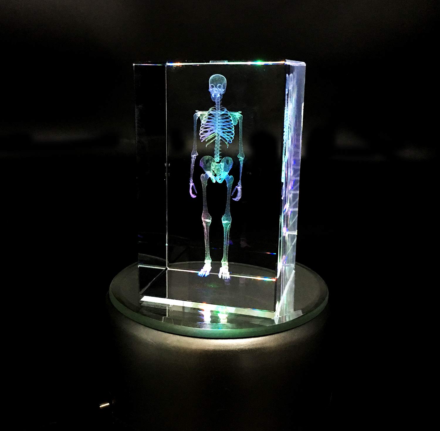 3D Human Skeleton Anatomical Model Paperweight(Laser Etched) in Crystal Glass Cube Science Anatomy Gift (No Included LED Base)(3.1x2x2 inch)