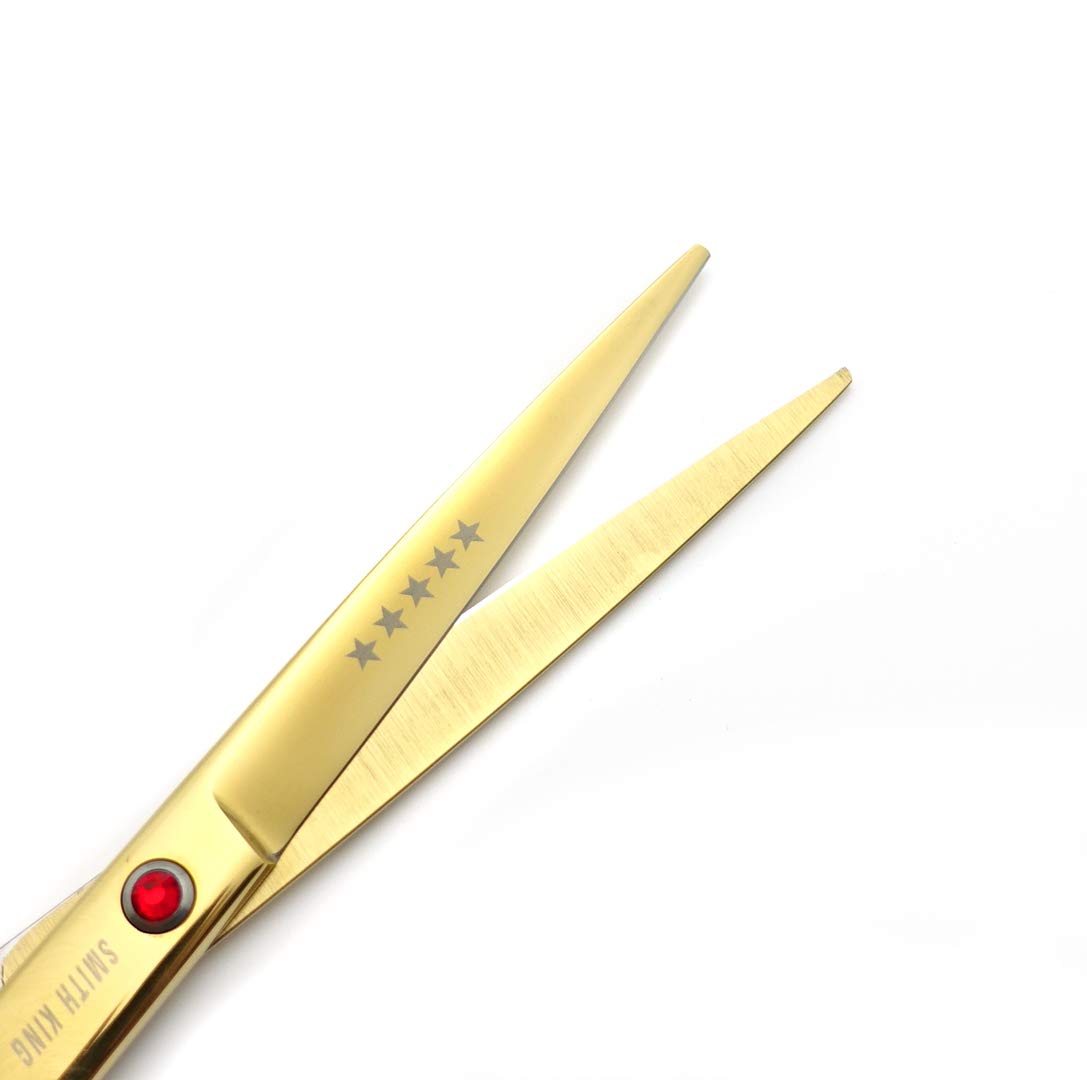 7.0 Inches Hair Cutting Scissors Set with Combs Lether Scissors Case,Hair cutting shears Hair Thinning shears For Personal and Professional (Gold)