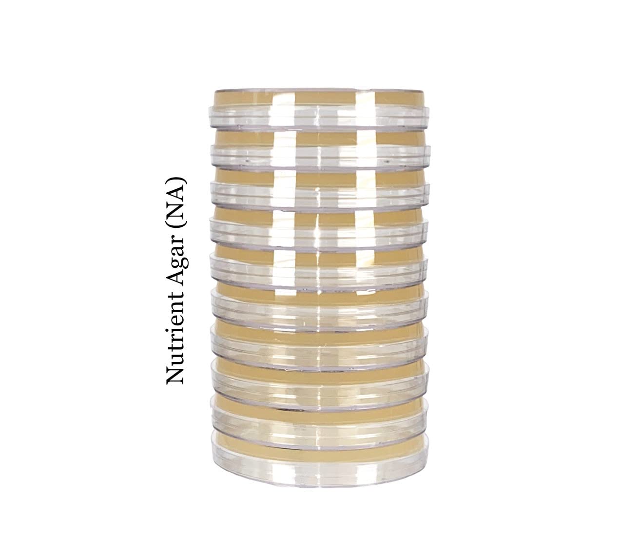 Nutrient Agar (NA), (10-Pack), Pre-Poured, 15x100mm Petri Plates. General Purpose Media for Isolation and Cultivation of a Variety Bacteria and Fungi.