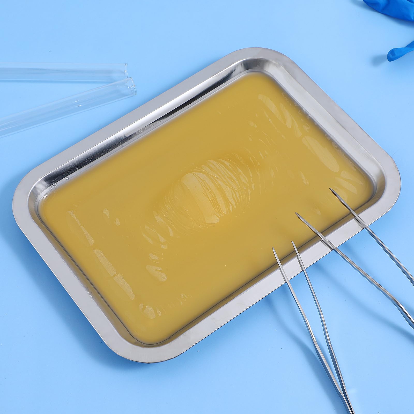 6Pack Premium Aluminum Dissection Pan with Wax, Disection Trays for Laboratory - Students - Science Experiments, 7" W 10" L