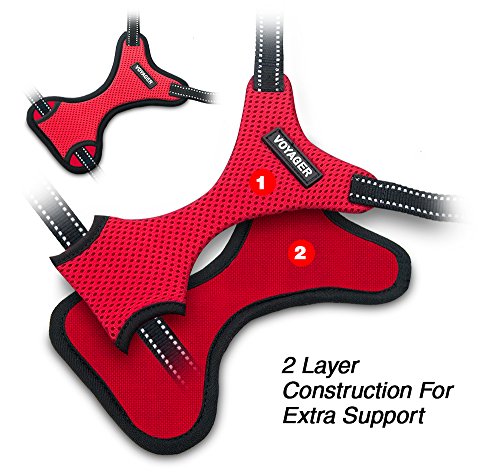 Best Pet Supplies Voyager Adjustable Dog Harness with Reflective Stripes for Walking, Jogging, Heavy-Duty Full Body No Pull Vest with Leash D-Ring, Breathable All-Weather - Harness (Red), M