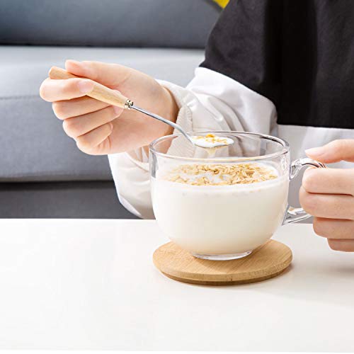 PARACITY Glass Cup 15OZ Clear Coffee Mug with Lids Spoon for Breakfast Tea,Milk,Beverage,Oats,yoghurt