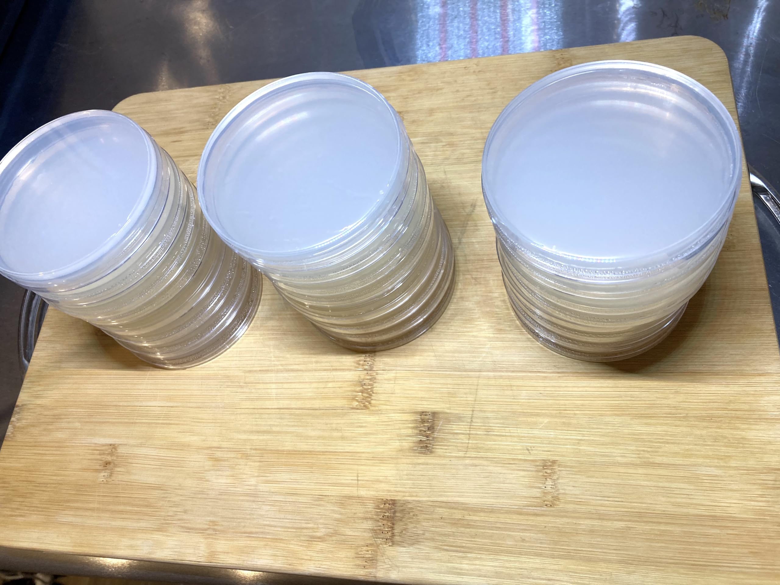 24 Agar Plate Pack - for Mycology and Biology with Malt Extract & Exclusive Galnut Micronutrients