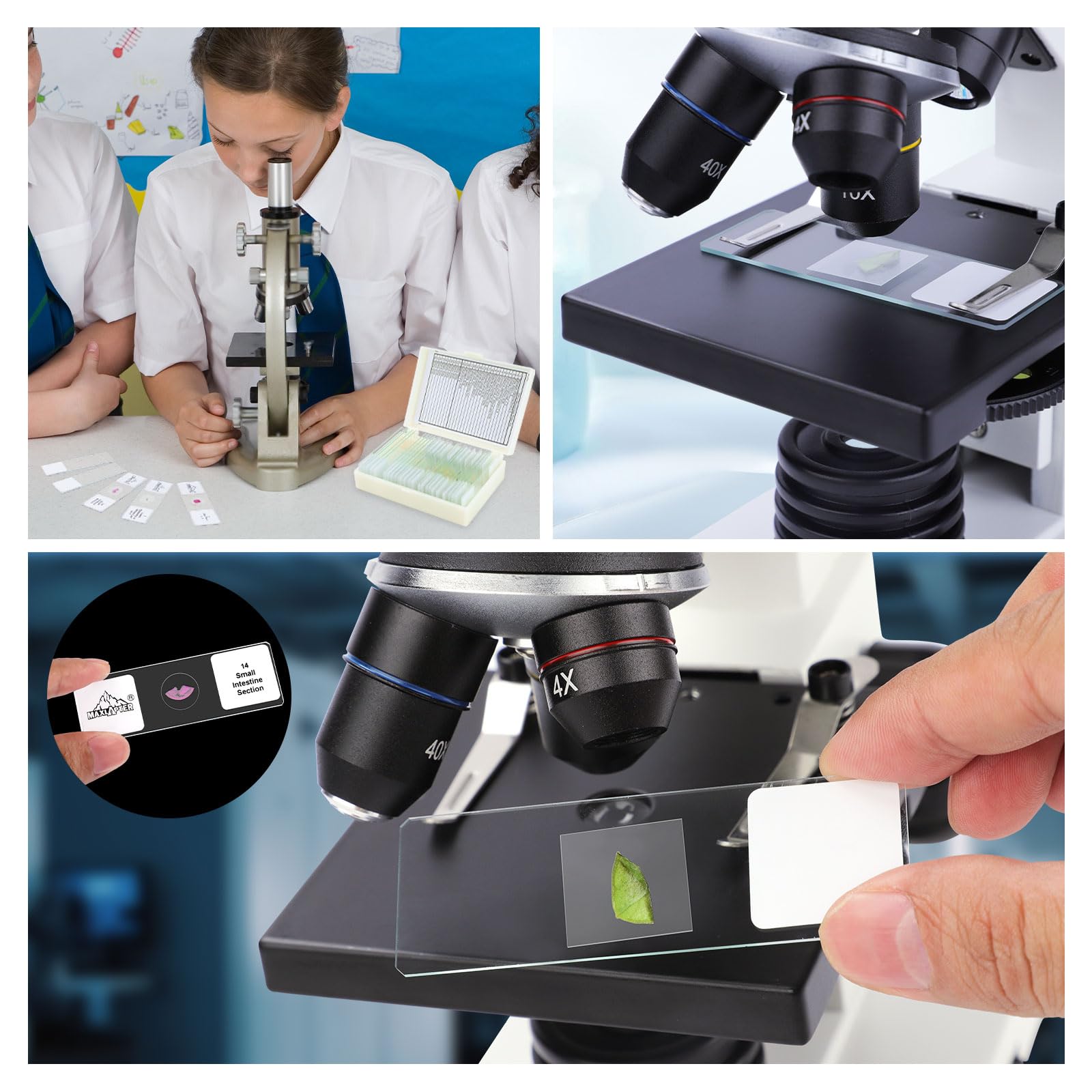 30 Microscope Slides and 100 Covers Set - 20 Prepared Microscope Slides with Specimens, 10 Blank Microscope Slides and 100 Microscope Coverslips - Microscope Slides for Kids Students Homeschool Use