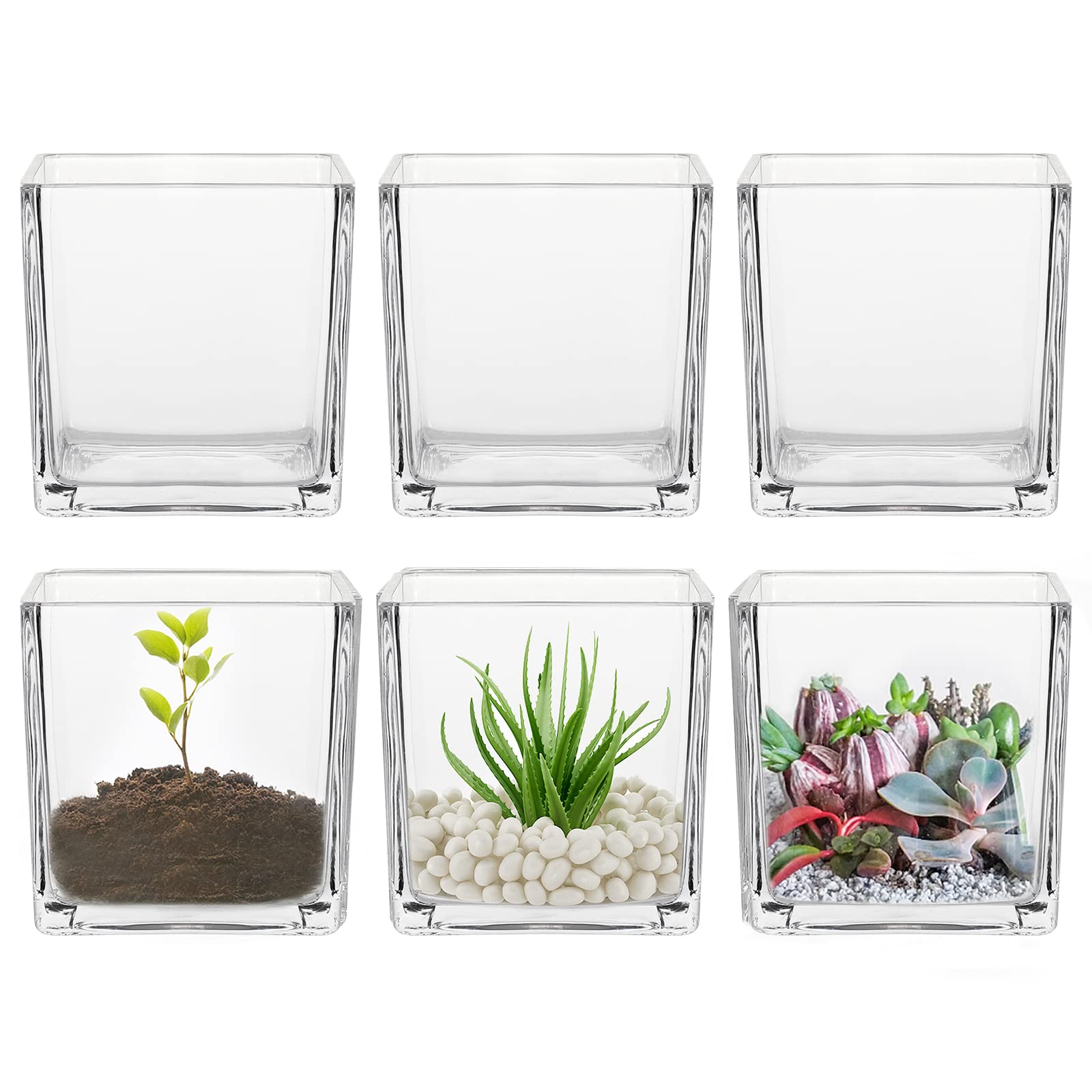 6 Pack Clear Square Glass Vases, Planter Terrarium Flowers Vase Candle Holder for Home,Garden, Wedding Centerpiece Decorations and Formal Dinners (Width 4", Height 4")