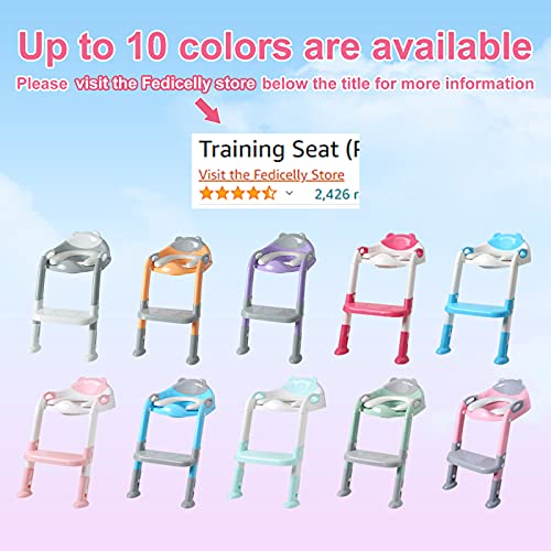 Fedicelly Potty Training Toilet Seat Boys Girls,Toddlers,Kids Potty Chair with Step Stool Ladder(Gray/Orange)