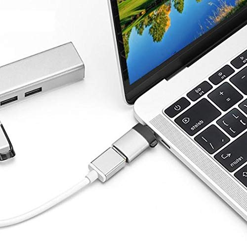 BoxWave Cable Compatible with Blackview BV6800 Pro - USB-C to A PortChanger (2-Pack), USB Type-C OTG USB Portable Keychain - Slate Black