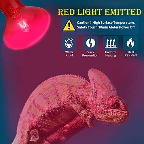 HANJION 2 Pack Reptile Red Light Bulb 75W Reptile Infrared Basking Spot Lamp of Bearded Dragon Light Bulbs for Reptile & Amphibian