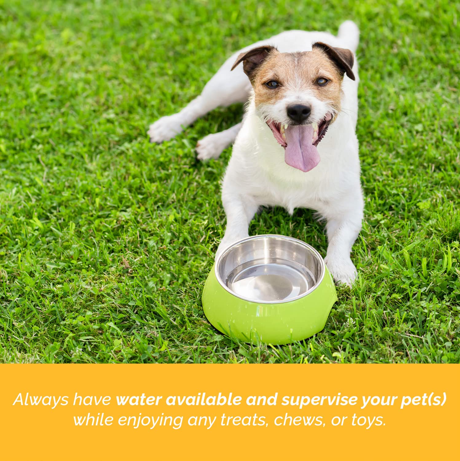 123 Treats | Beef Tendon Chews for Dogs | Snacks Made from Tendons | 7-9 inches - Stick for Dogs (8oz Bag)