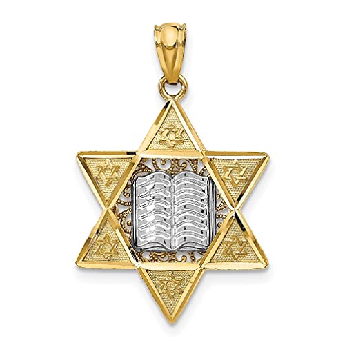 14K Two Tone Gold Star of David Jewish Magen Necklace Judaica Religious Pendant Israel Charm Only