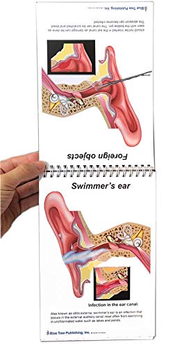 Blue Tree Publishing Ear Anatomy Desktop Charts For AUD, Audiologist, Hearing Centers and Classroom material for Education