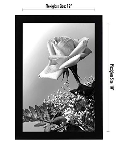 Americanflat 12x18 Poster Frame in Black - Composite Wood with Polished Plexiglass - Horizontal and Vertical Formats for Wall with Included Hanging Hardware