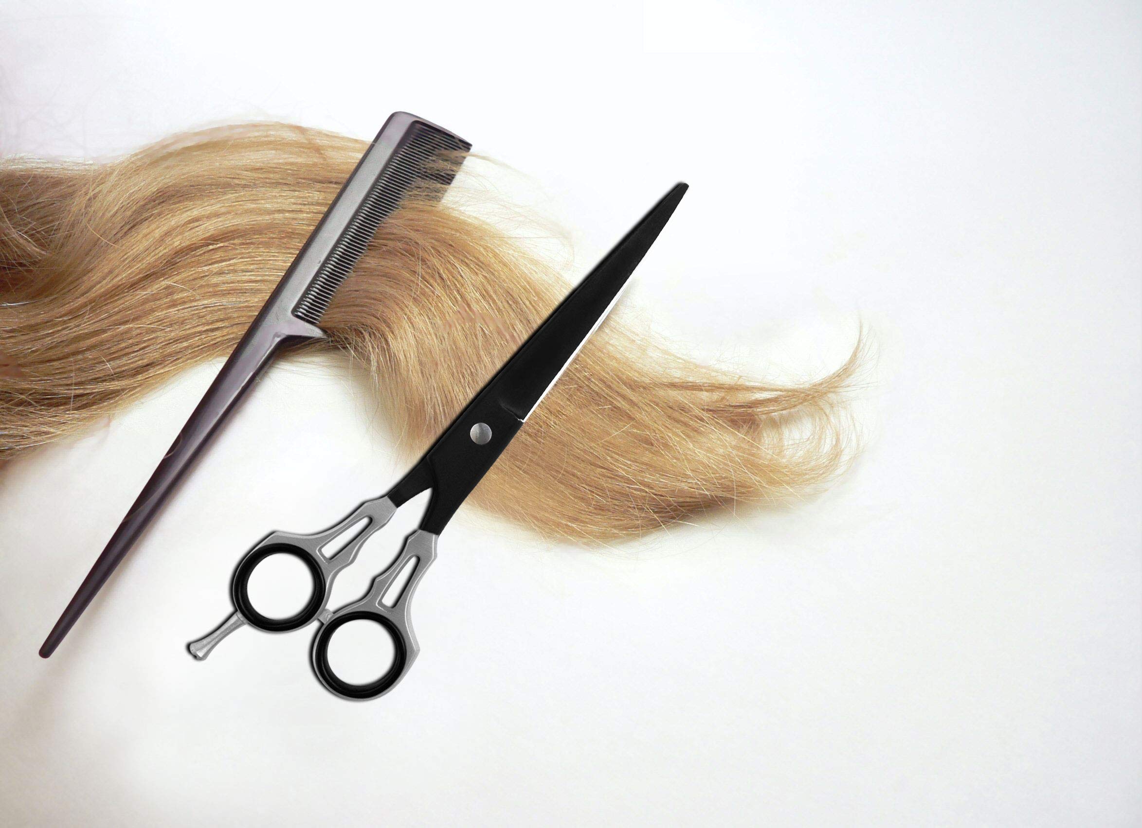 Facón Professional Razor Edge Barber Hair Cutting Scissors - Japanese Stainless Steel - 6.5" Length - Fine Adjustment Tension Screw - Salon Quality Premium Shears (The Alpha)