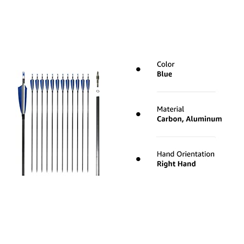 12Pack 30-inch Carbon Arrow with 4" Turkey Feathers, Hunting/Targeting Arrow for Compound Recurve Longbow (Blue)
