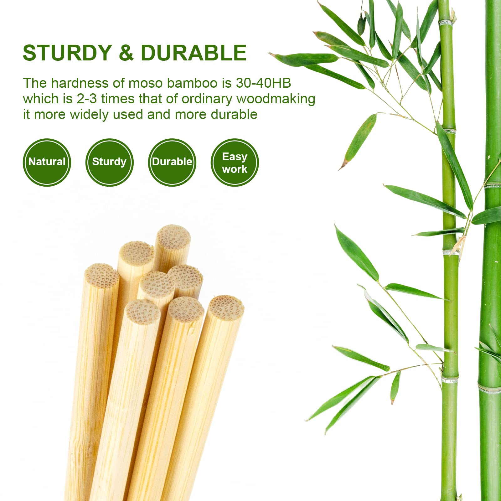 120PCS Wooden Dowel Rods, 1/4 x 12 Inch Round Unfinished Bamboo Dowel Rods, Wood Crafts Sticks Doweling Rods for Crafts and DIYers Arts Projects