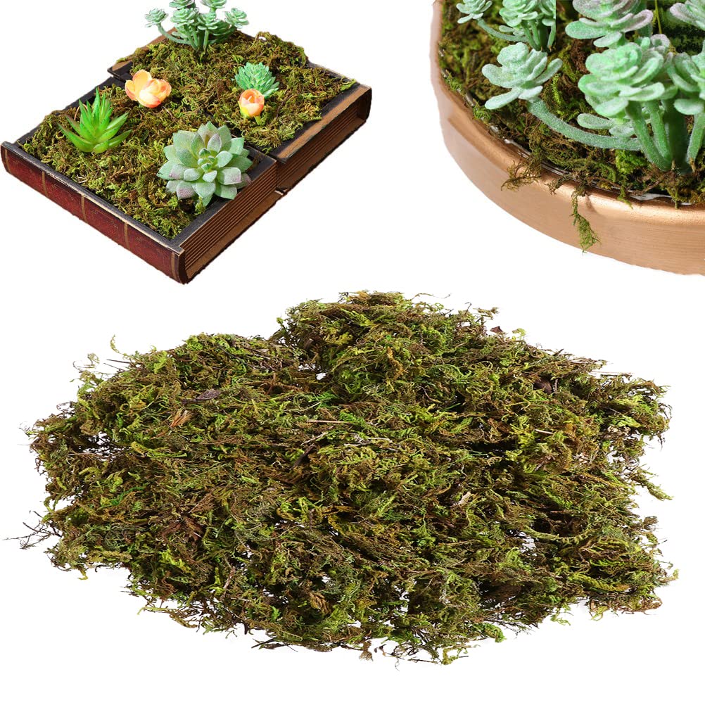 Abaodam Moss for Potted Plants Flowers Live Plant Fake Artificial Crafts Green Simulation Lifelike Fake Moss Artificial Plants Faux Lichen for Decoration Home Garden(60g Each Pack