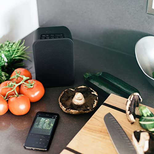 Bluesound Pulse Flex 2i Portable Wireless Multi-Room Smart Speaker with Bluetooth - Black - Compatible with Alexa and Siri