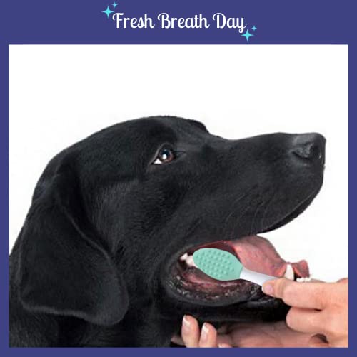 ANTOLL Pets Silicone Soft Head Dog cat with Toothbrush Dog cat Teeth Cleaning Health Care(4-Parks)
