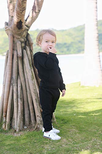 Hipealy Toddler Infant Baby Boy Clothes Hoodie Sweatshirt Pants Boys Gift Solid Color Fall Winter Outfits Set 0-6 Months