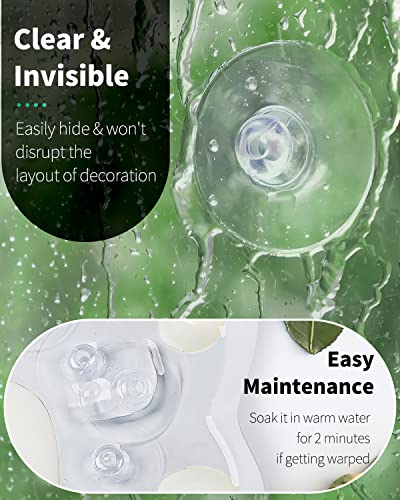 Pawfly 20 Pcs Suction Cups 1.8 Inch Clear Plastic Suction Pads for Home Organization and Decoration Strong Adhesive Sucker Holders for Kitchen Bathroom Window and Glass Door