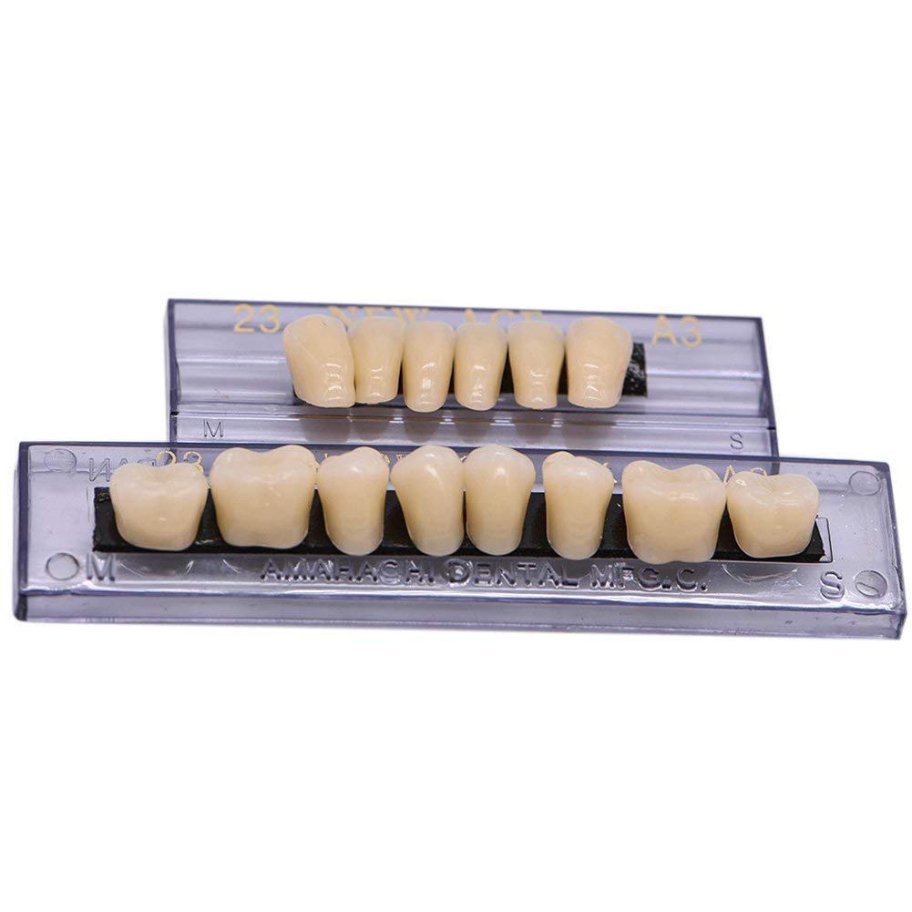 RZJZGZ 168 Pcs Dental Synthetic Resin Tooth Denture Temporary False Teeth 6 Sets False Teeth 23 A2