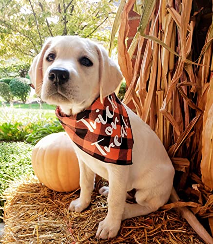 Halloween Dog Bandana -Orange Plaid Pet Scarf