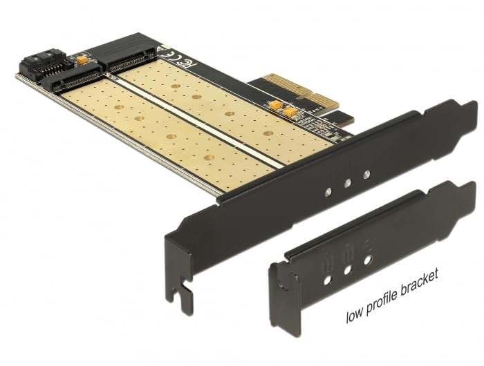 Adap Delock PCI-E Karte Memory Controller