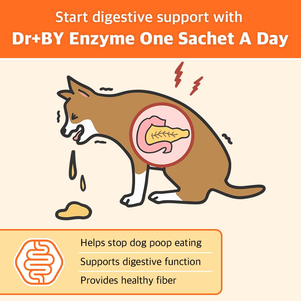 Doctor By Enzyme for Dogs Digestive Enzyme Supplements for Dogs with Protease, Amylase, Lipase - Promotes Digestion and Improves Nutrient Absorption - 30 Individually Packaged (1 Pack)