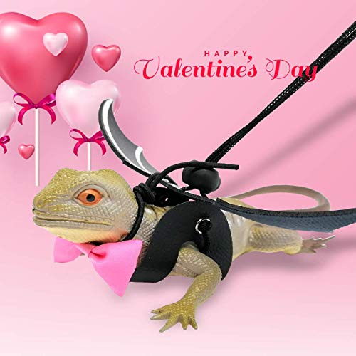 Bearded Dragon Lizard Leash Harness Hat Bowtie Set -Bearded Dragon Top Hat + Bow Tie Collar Costume Accessories + 3 Pack Harness Leash for Lizard Reptile Party Photo Props
