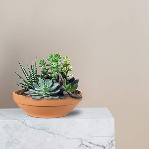 Clay Pots for Plants with Drainage Hole, 4 Pack Large Terra Cotta Plant Pot, 7.67 Inch Terra Cotta Pot Ceramic Pottery Planter Cactus Flower Pots Succulent Pot