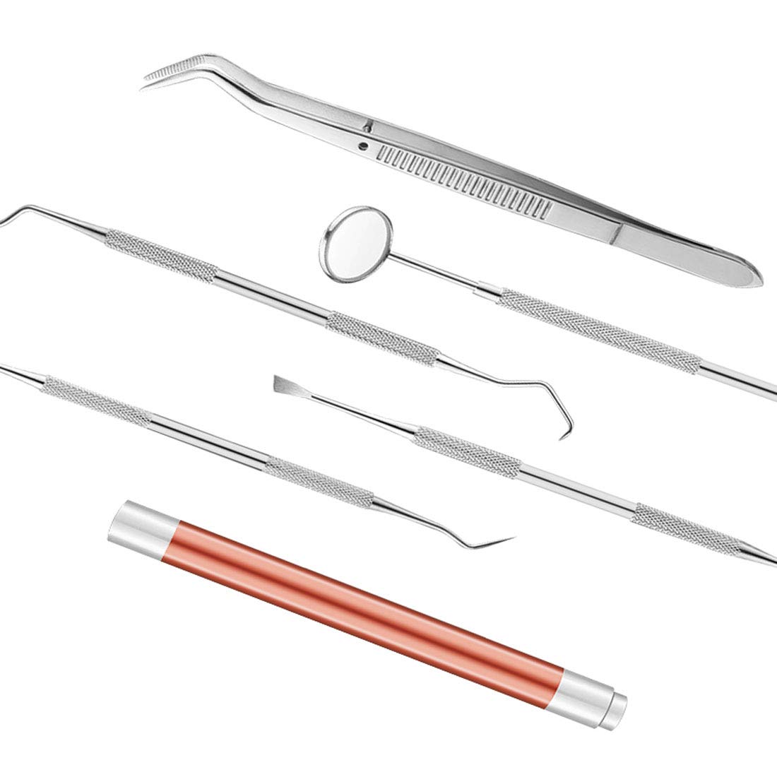 AGGICE Dental Tools, 7 Pack Teeth Cleaning Tools Kit, Tartar Plaque Remover for Teeth, Dentist Tool Kit with Stainless Steel Dental Mirror, Tooth Scraper, Dental Picks, Tweezer and Oral Torch…