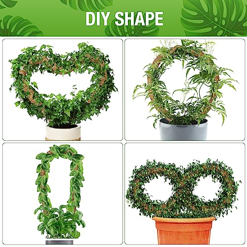 47 Inch Moss Pole for Plants Monstera, Bendable Plant Stakes for Climbing Plants, Monstera Moss Pole, Bendable Coco Coir Plant Support, Plant Sticks Support for Indoor Plants (1 Pack)