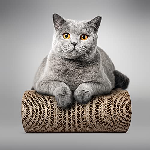 CatGuru Cat Scratcher, Reversible Cat Scratching Pad, Cardboard Cat Scratching Post, Premium Cat Scratch Pad, Durable Cat Scratchers, Cat Scratching Bed, Cat Scratcher Lounge (XXL)