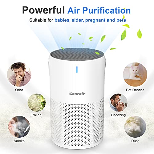 2Pack Air Purifiers for Bedroom with Four Filters(Two Already in Air Purifiers) For Smoke Pollen Dander Hair Smell In Bedroom Office Living Room and Kitchen