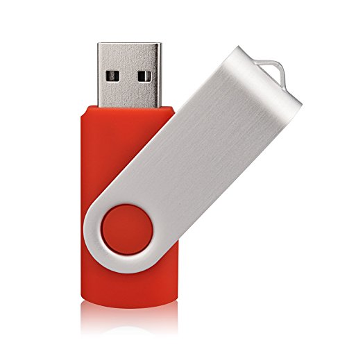 Aiibe 5pcs 8GB USB Flash Drive Pendrives 8 GB Bulk USB 2.0 Thumb Drives Multicolor USB Memory Stick Jump Drive Zip Drives (8G, 5 Pack, 5 Colors : Black Red Yellow White Purple)