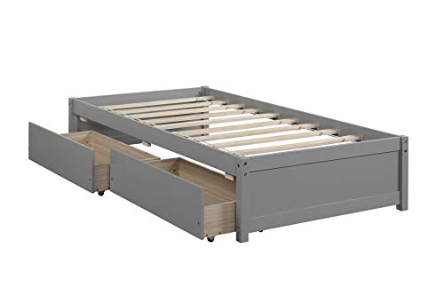 Twin Size Platform Bed with 2 Storage Drawers,Twin Bed Frame with Storage, Solid Wood Daybed with No Headboard for Kids Teen Grils Boys,Easy Assembly (Gray)