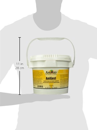 AniMed ANIGEST Digestive SUPP 5#