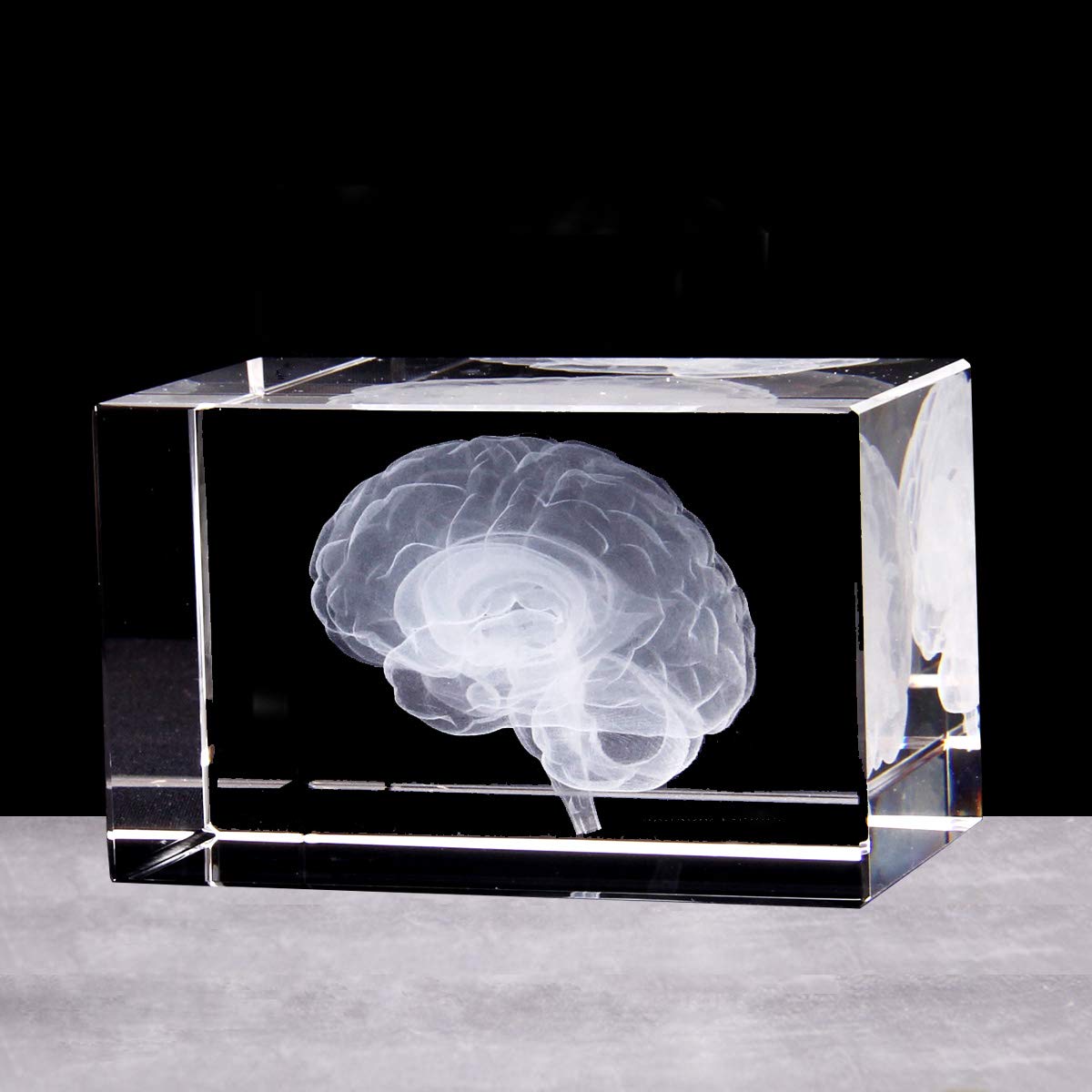 3D Human Brain Anatomical Model Paperweight(Laser Etched) in Crystal Glass Cube Science Gift (No Included LED Base)(3.1x2x2 inch)
