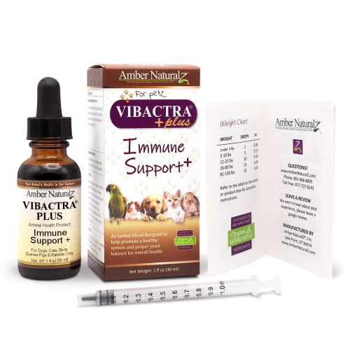 Amber NaturalZ - Vibactra Plus Immune Support Plus - an antioxidant enriched formula helps fight free radicals, supports healthy yeast balance, maintains healthy gut flora, supports upper respiratory health and oral health - 1 Oz