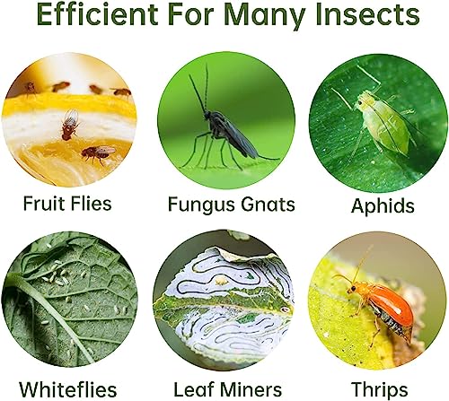 36 Pack Sticky Traps Plant Trap for Fungus Gnat, Fruit Fly Traps for Mosquito and Bug Indoor & Outdoor, Pest Insect Catcher Killer