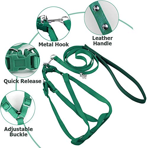 ASOCEA Adjustable Bird Harness and Leash for Yellow Naped Amazons Galah Cockatoos Small to Medium Breed Parrots Fits Birds Chest Between26-40cm /10.24-15.75inch - S