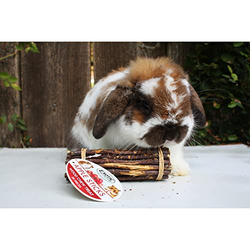 Apple Sticks (20 Pack) - Healthy Natural Apple Wood Branch Chew Treat - Guinea Pigs, Hamsters, Rabbits, Degus, Prairie Dogs, Chinchillas, Squirrels, Opossums, Rats, Hamsters, Gerbils & Small Pets