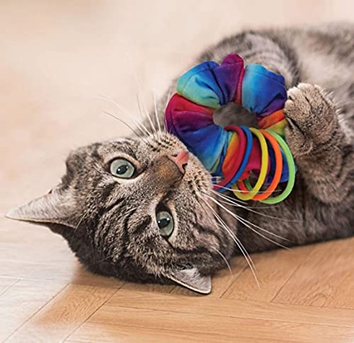 KONG Active Scrunchie with Cat Nip Cat Toy for All Breed Sizes