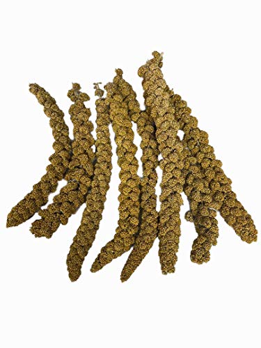 Birds LOVE Wholesome & Lovely Spray Millet GMO Free No Pesticide (No Stems Only Edible Tops) for Parrots Birds Cockatiel Lovebird Parakeet Finch Canary All Parrots Healthy Treat-1lb…