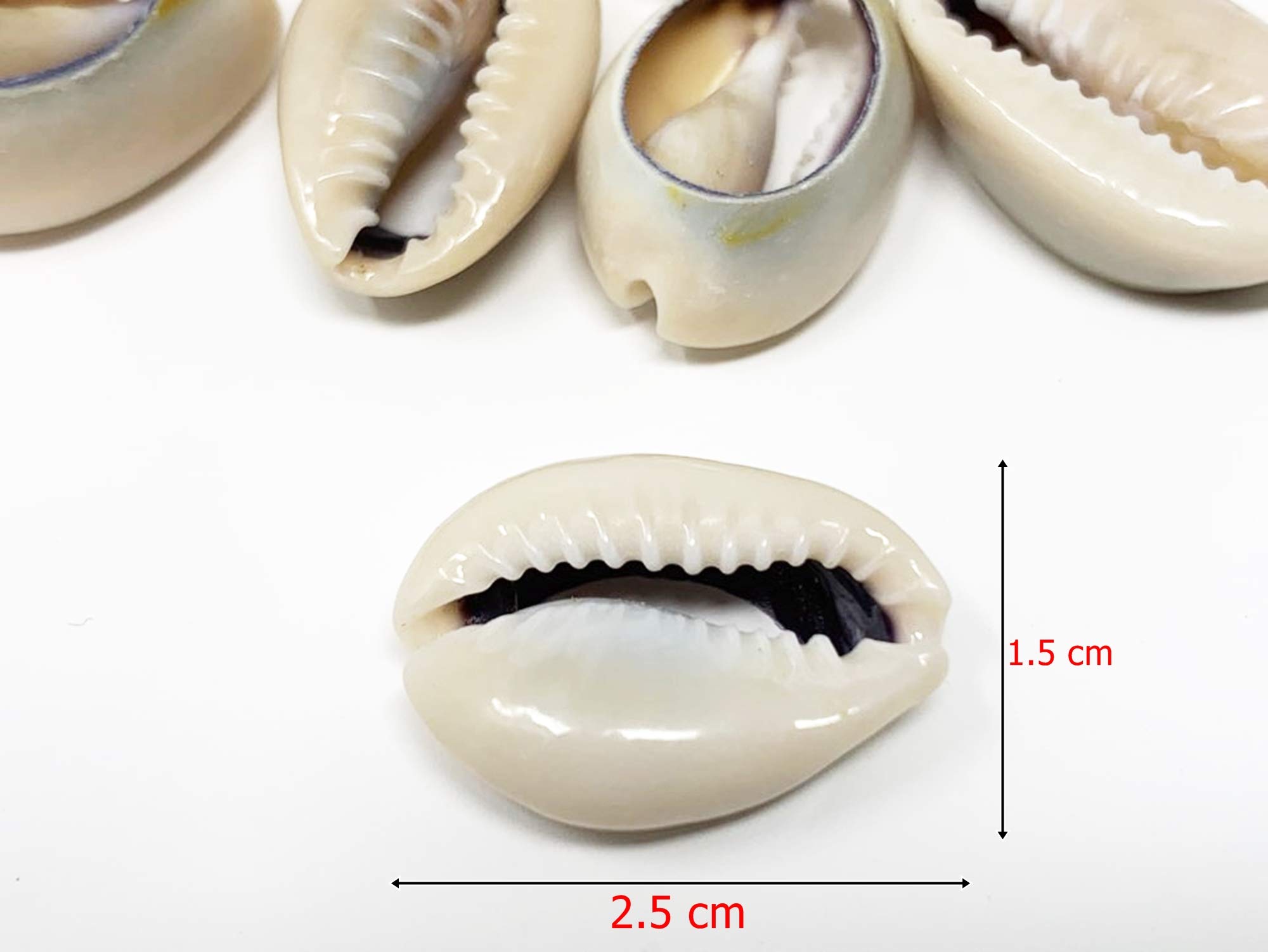 Crispy Collection Tomorrow sea shell cutted hair beads cowrie dreadlocks braid bead decoration 2packs (SHB1)