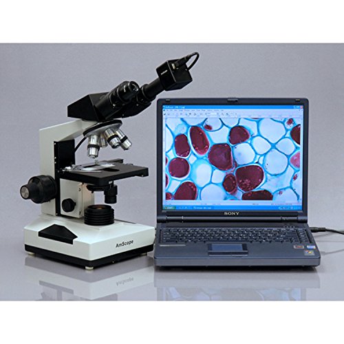 AmScope B490 Compound Binocular Microscope, WF10x Eyepieces, 40X-1000X Magnification, Brightfield, Halogen Illumination, Abbe Condenser, Double-Layer Mechanical Stage, Sliding Head, High-Resolution Optics, Anti-Mold