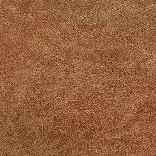 Amazon Brand - Rivet Jamie Leather Mid-Century Modern Low Arm Accent Living Room Chair, Cognac Leather, 31"W