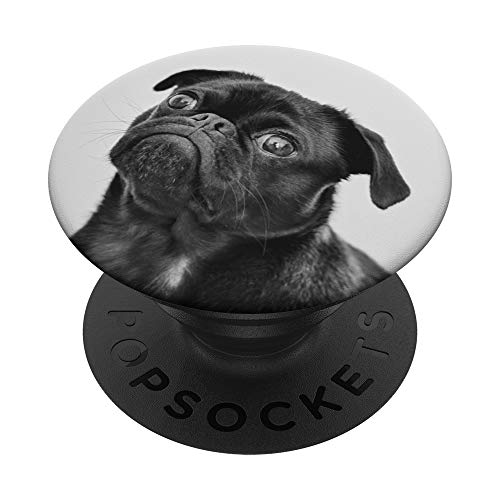 Black Pug Cute Dog Portrait Image Dogs Photo Funny Pugs Gift PopSockets PopGrip: Swappable Grip for Phones & Tablets