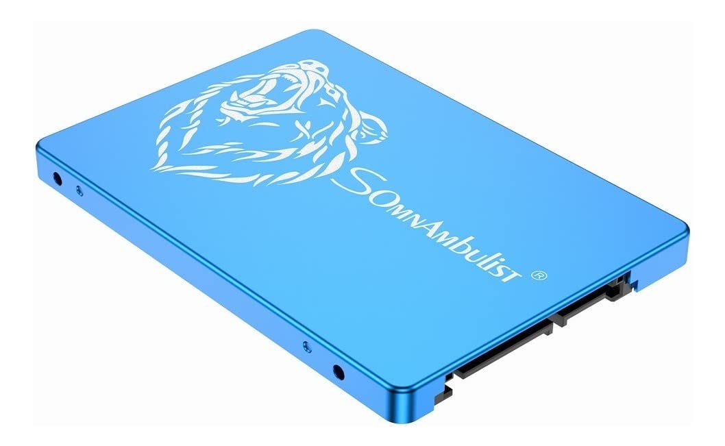 Somnambulist Laptop/Desktop SSD 2.5" SATA3 120gb 240gb 60gb SSD Solid State (Blue Bear-120GB)